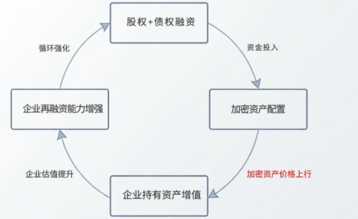 DAT Corporate Sustainability Research: Funding Structure and Coin ...